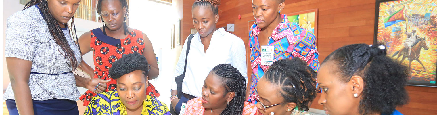 FEMNET | Our Strategic Priorities - FEMNET