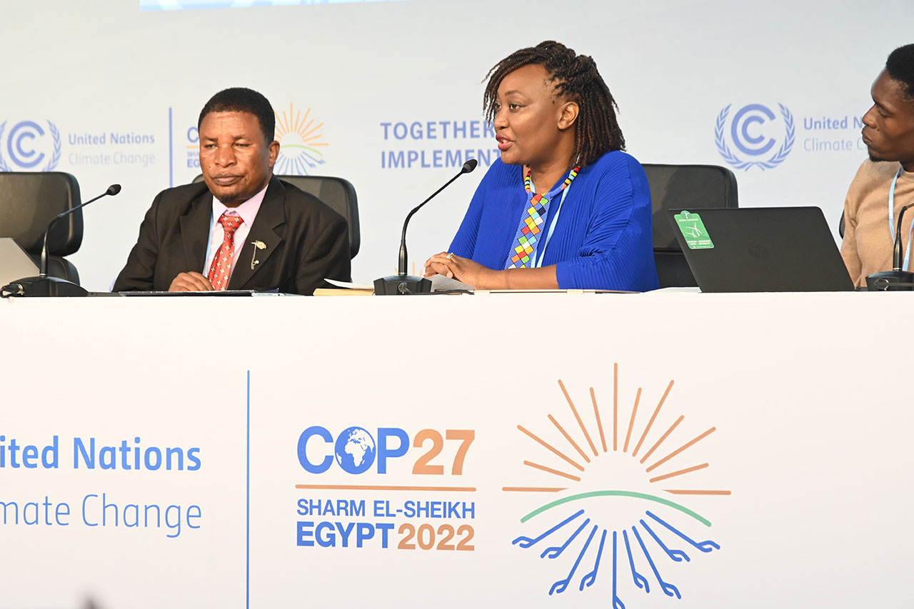 FEMNET | Calls for COP27 to Listen and Act on African's Demands - FEMNET